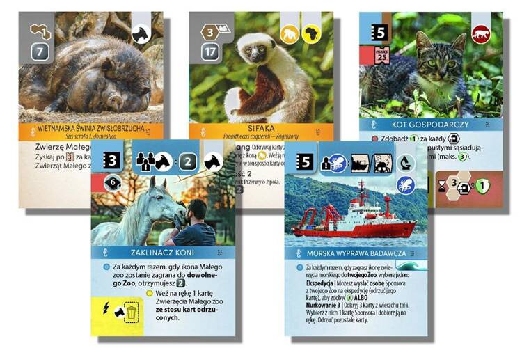 Ark Nova: Wodny Świat | Sklep \ Gry planszowe - Rozszerzenia | Marajo